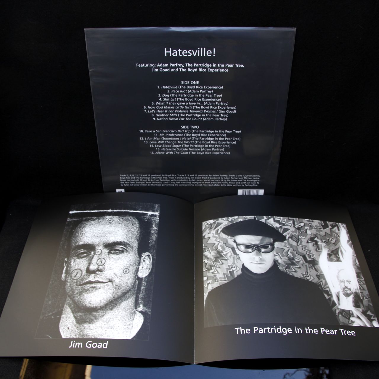 THE BOYD RICE EXPERIENCE – Hatesville! – LP – 10546 - Soleilmoon.com
