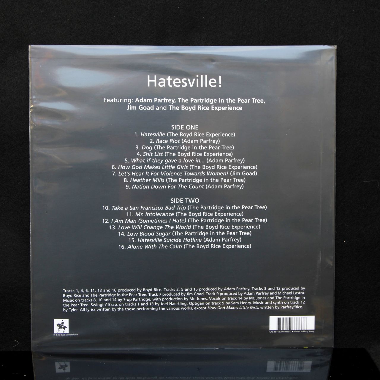 THE BOYD RICE EXPERIENCE – Hatesville! – LP – 10546 - Soleilmoon.com