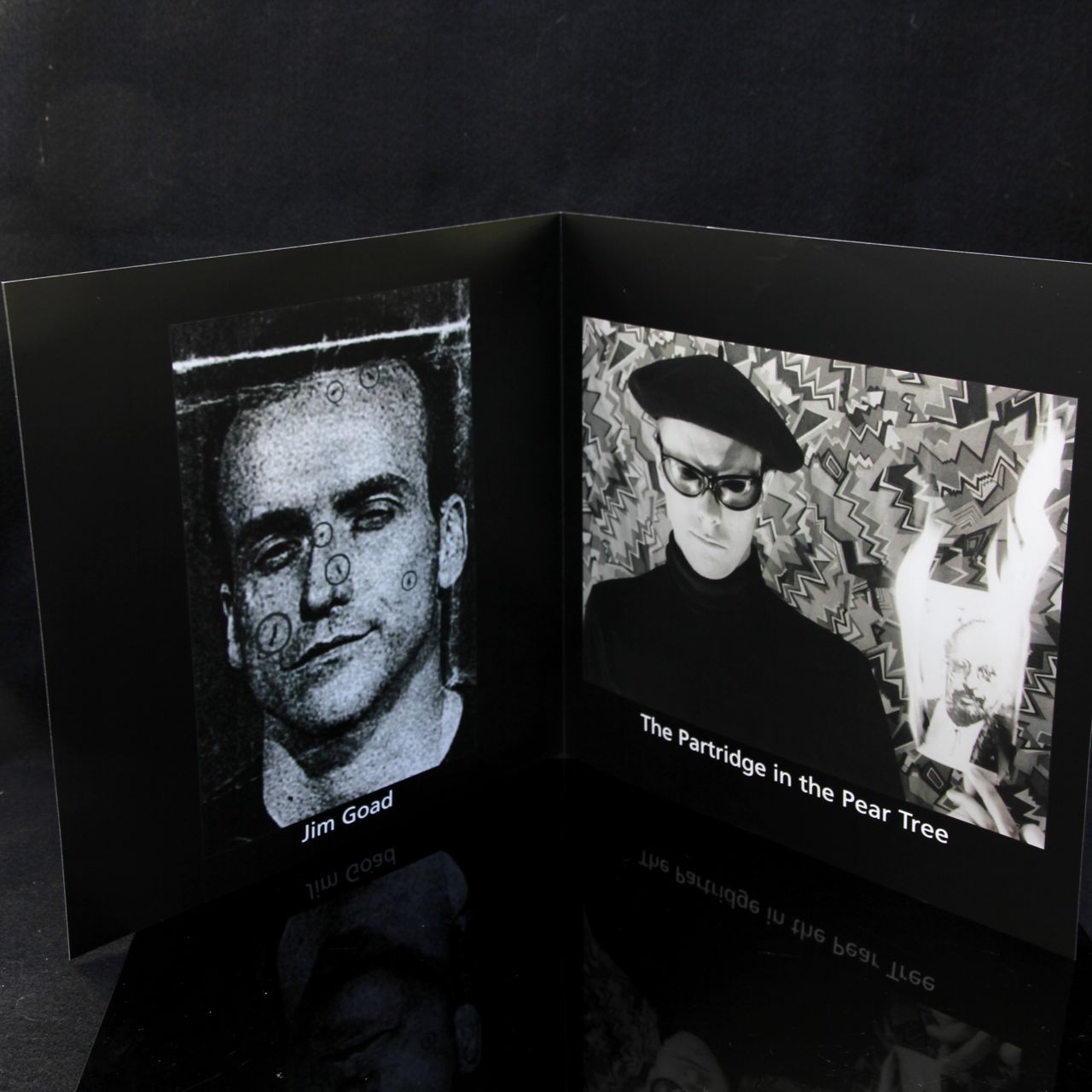 THE BOYD RICE EXPERIENCE – Hatesville! – LP – 10546 - Soleilmoon.com