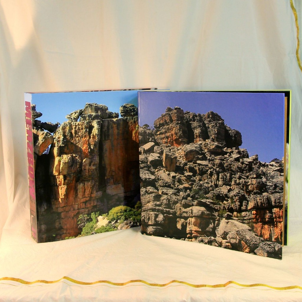 MERZBOW – Merzbient [black vinyl] – 18XLP BOX – 11583 - Soleilmoon.com