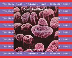 Home - Soleilmoon.com