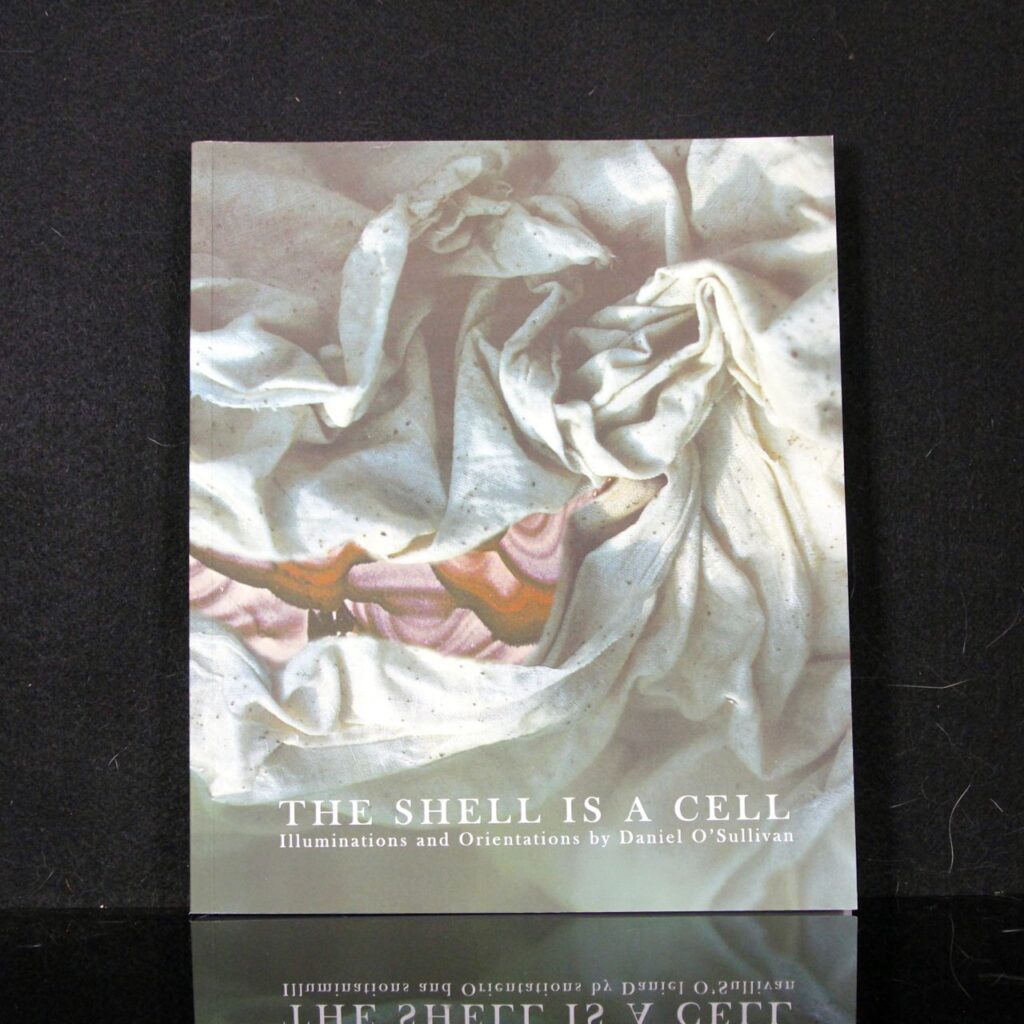 DANIEL O'SULLIVAN - The Shell is a Cell - Soleilmoon.com